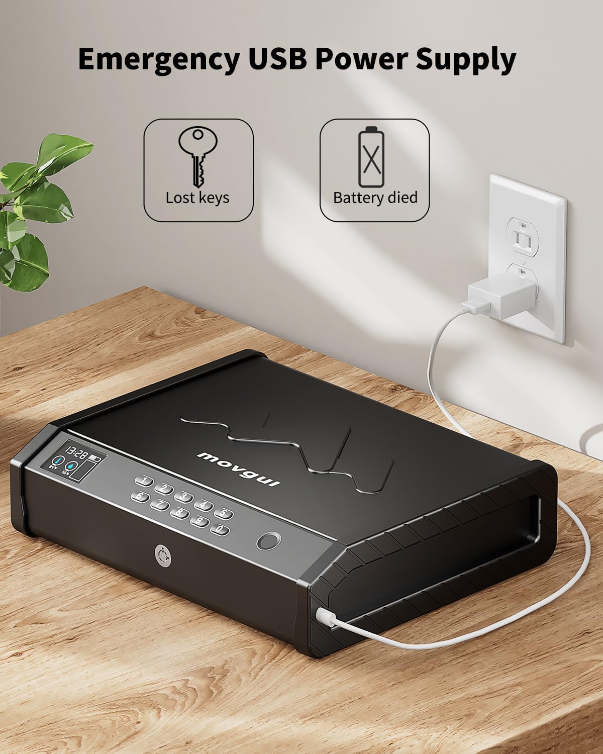 Biometric Pistol Safe Review - Ace Pistol Cases